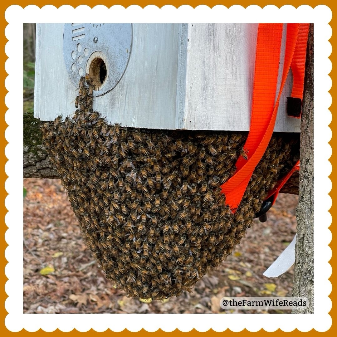 Swarm season – the Farm Wife Reads