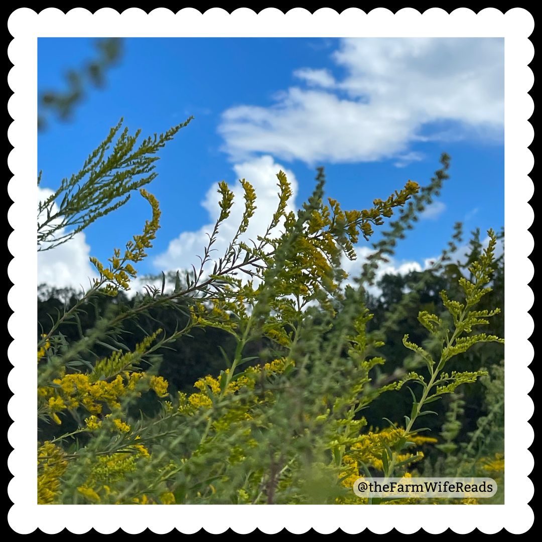 Fall & Folklore – the Farm Wife Reads