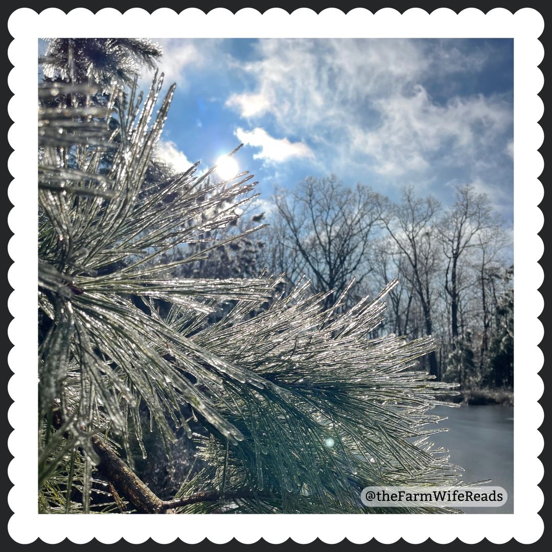 This isn’t snow… – the Farm Wife Reads