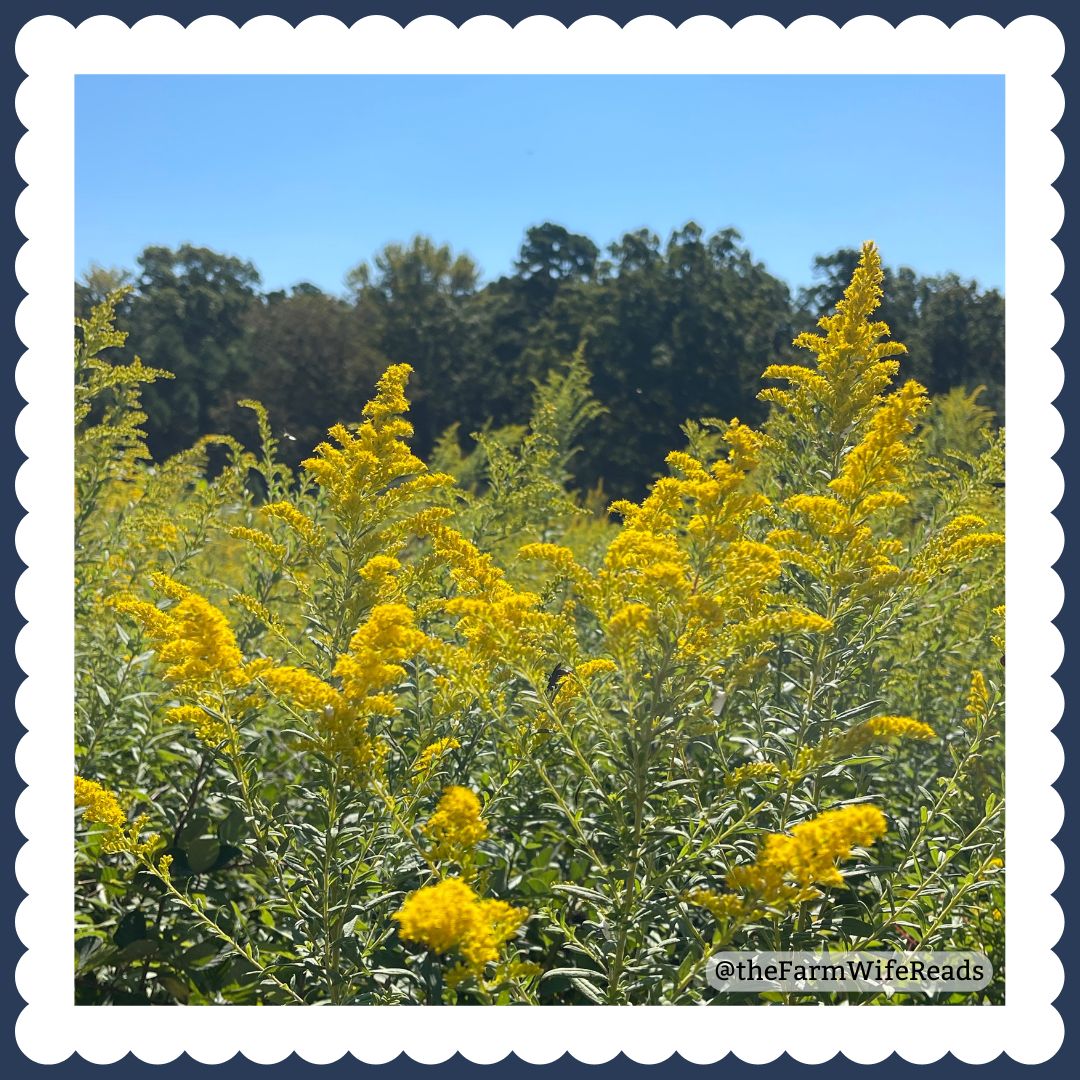 Six more weeks? – the Farm Wife Reads