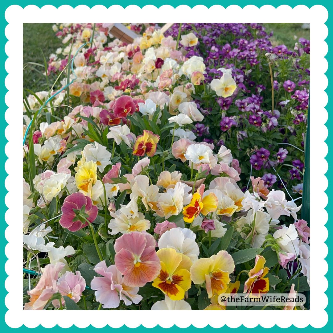 The return of flower season – the Farm Wife Reads